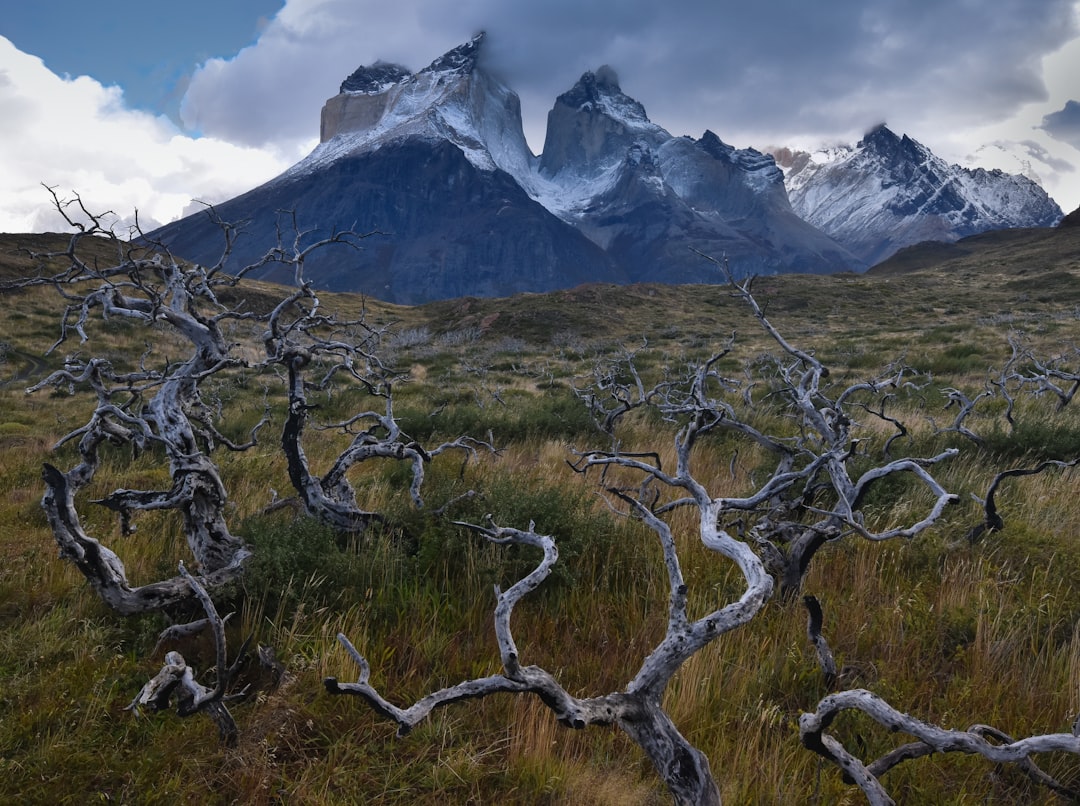 Chile Travel Guide 2026: Route & Highlights | Zercy