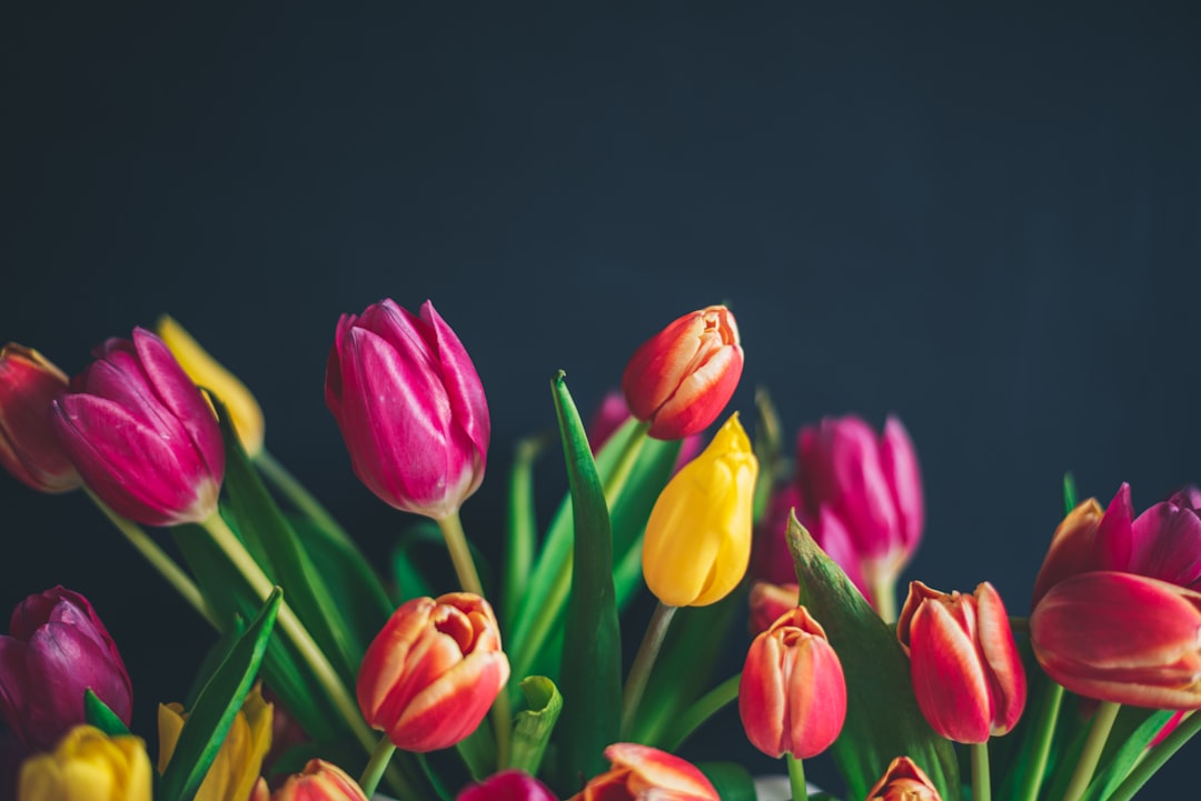 Best Spring Destinations Europe 2026: April & May | Zercy